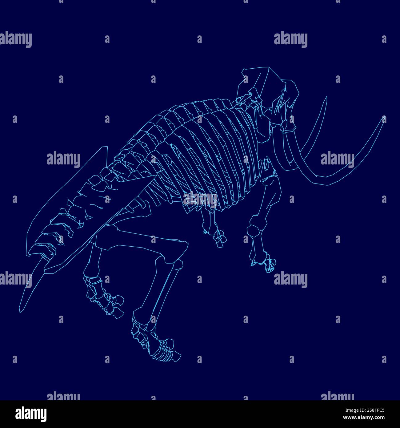 Blue drawing of a skeleton with a large tusk. The skeleton is shown in ...