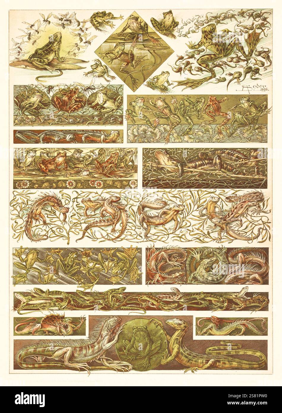 Anton Seder - The Animal in Decorative Arts - Intricate Art Nouveau ...