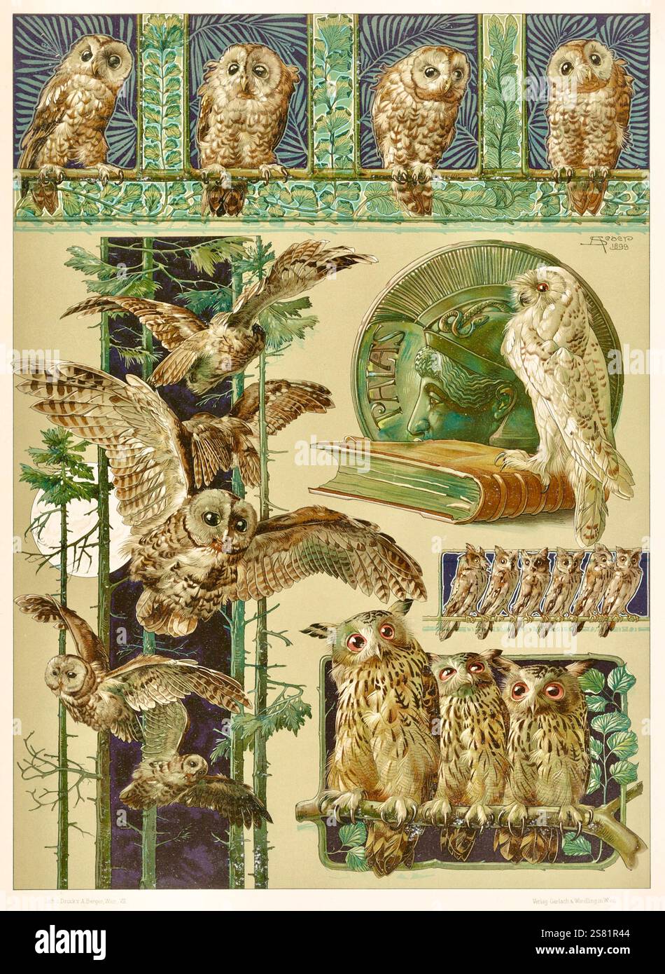 Anton Seder - The Animal in Decorative Arts - Intricate Art Nouveau Designs - 1896 - Owls Stock ...