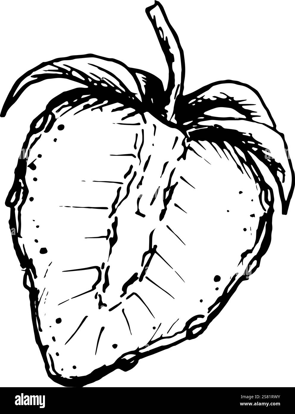 Work summer holiday in Cut Out Stock Images & Pictures - Alamy