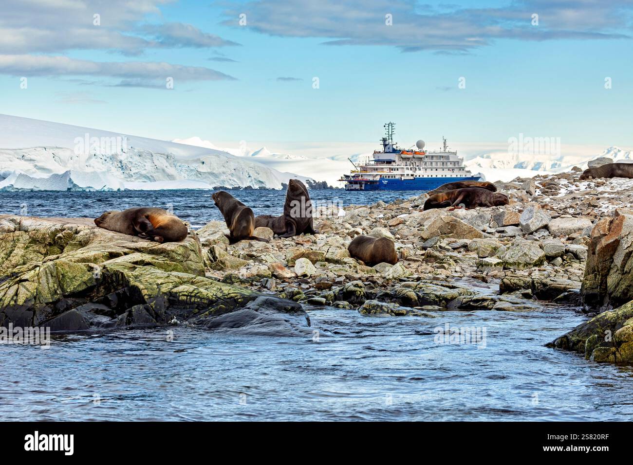 Cruising Ship in the Antarctic Area Stock Photo - Alamy