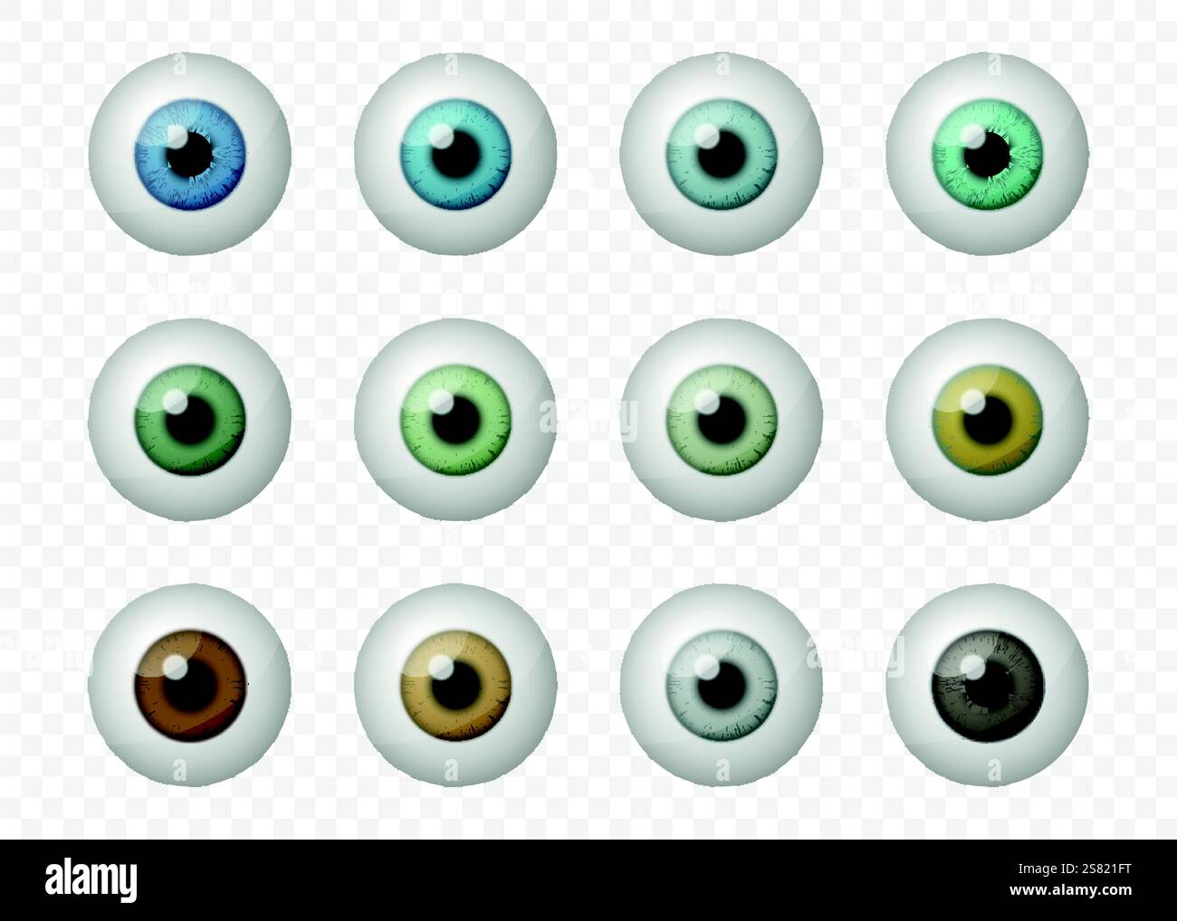 Realistic Vector Isolated Round Eyeballs Set With Various Pupil Colors ...