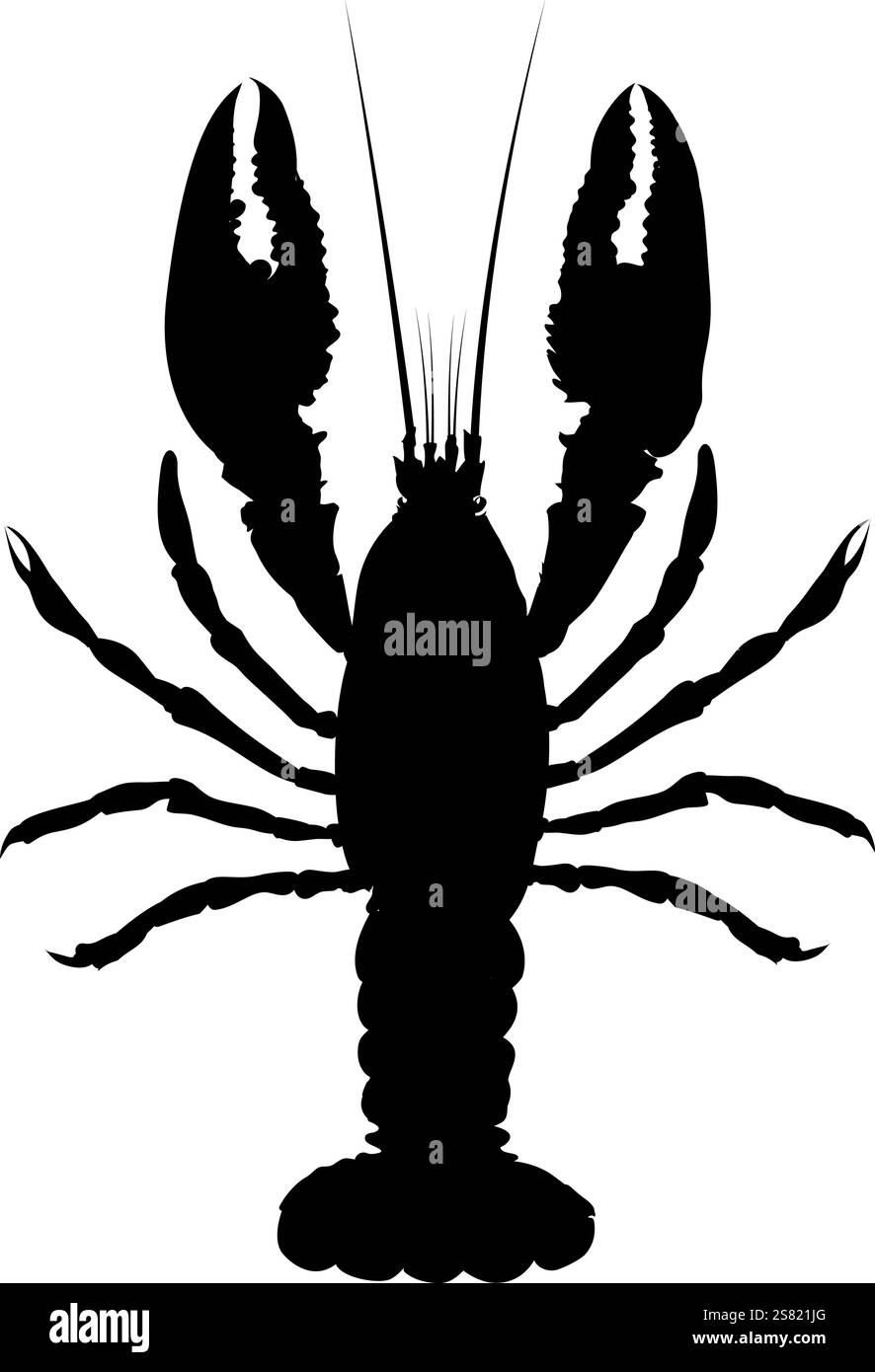 lobster silhouette - vector illustration Stock Vector Image & Art - Alamy