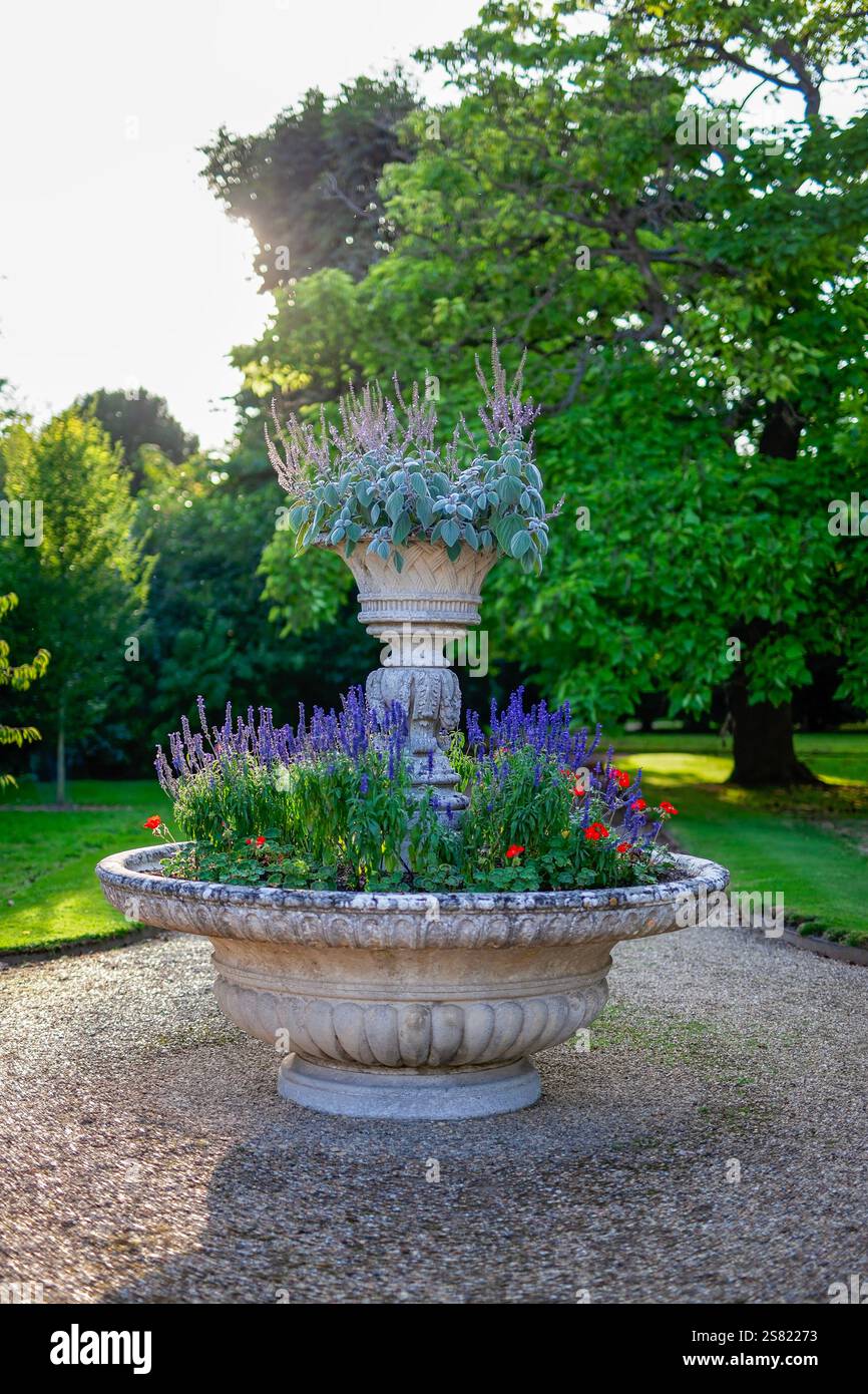 Feature vibrant blooms hi-res stock photography and images - Alamy