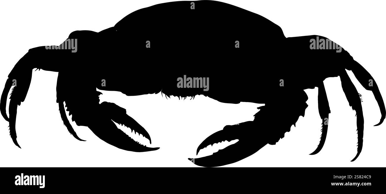 crab silhouette - vector illustration Stock Vector Image & Art - Alamy