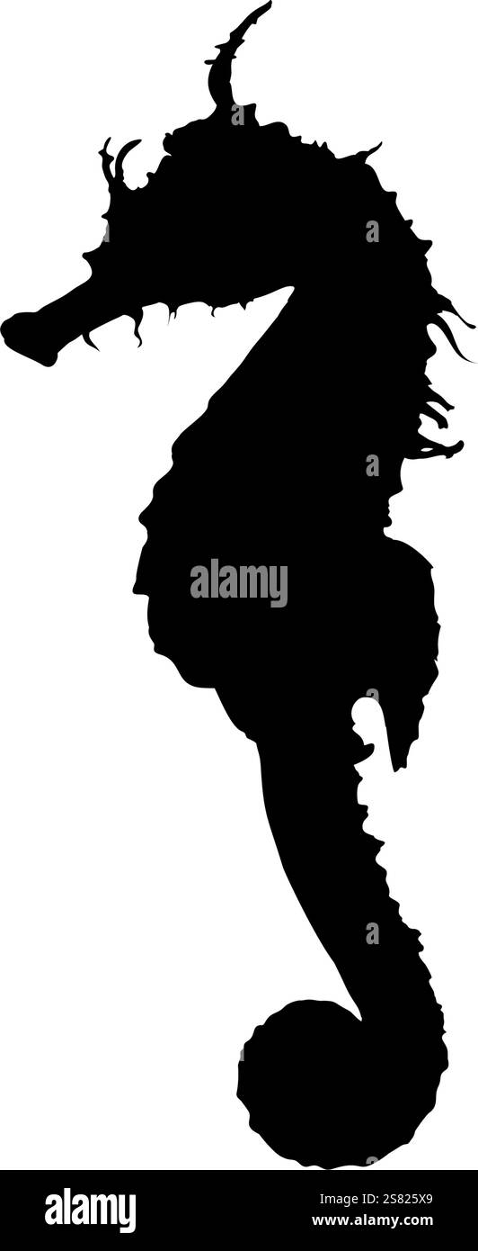 seahorse silhouette - vector illustration Stock Vector Image & Art - Alamy