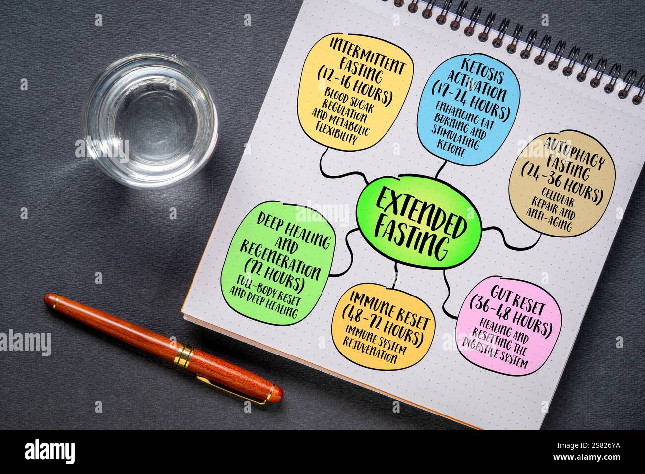 Extended fasting - stages and health benefits. Mind map infographics ...