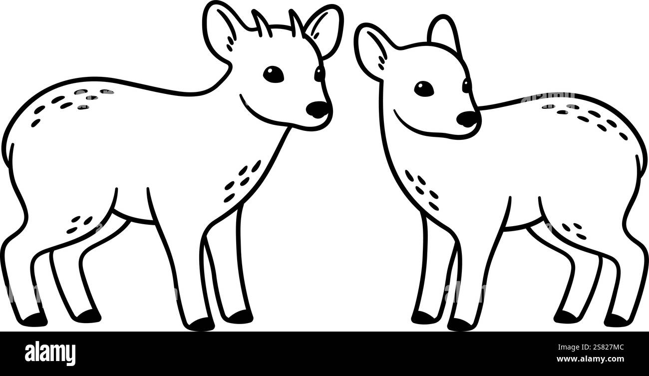 Male and female Pudu, small South American deer. Black and white line ...