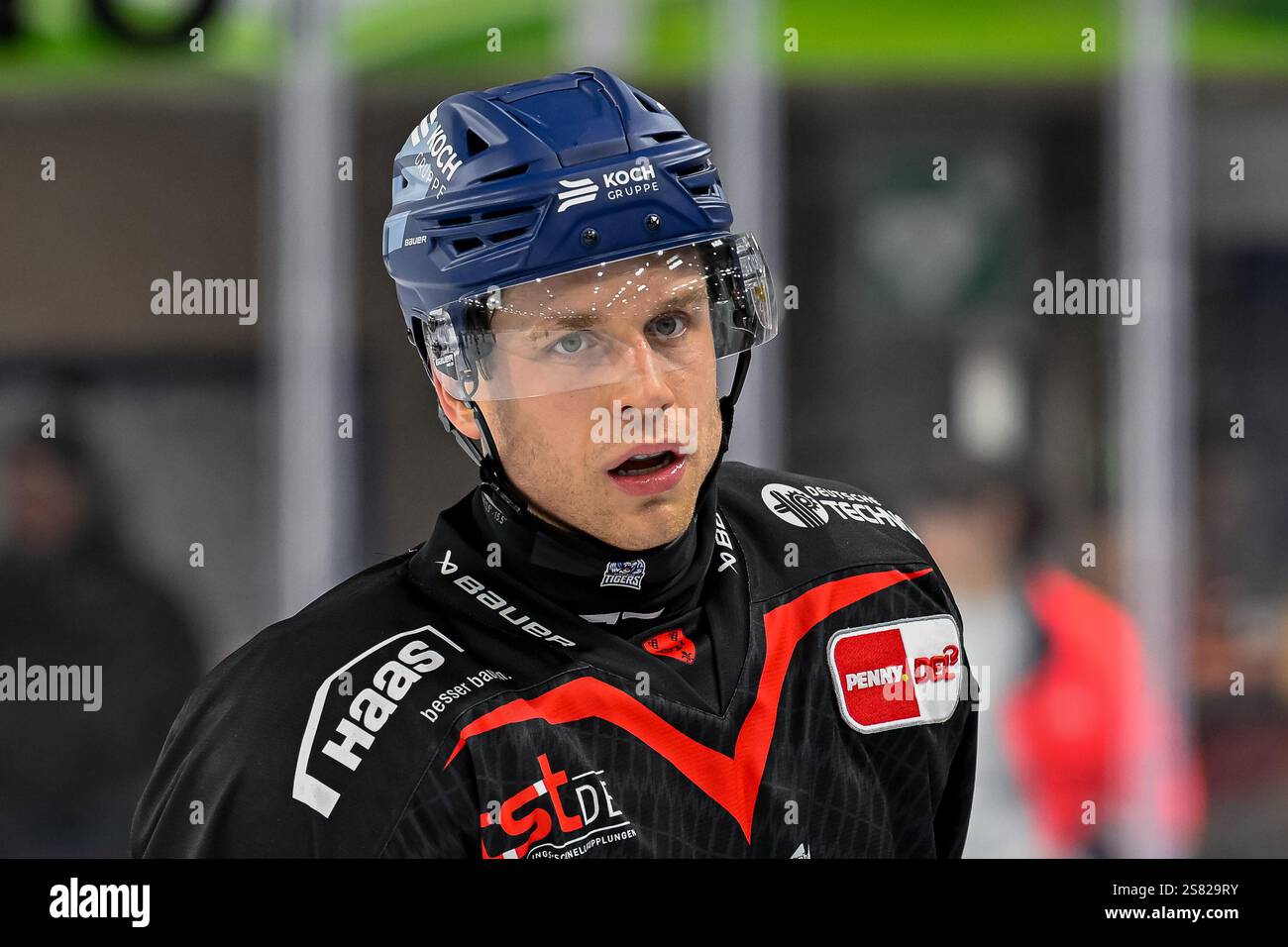 Nelson Nogier (Straubing Tigers, #77) / Portrait / Portraet. GER ...
