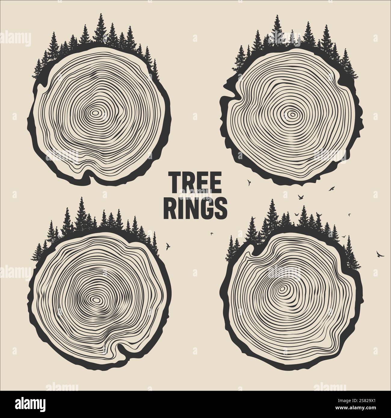 Round tree trunk cuts with trees, forest and birds. Sawn pine or oak ...