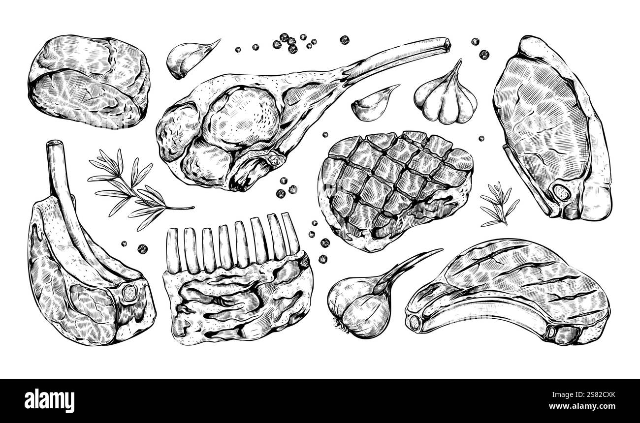 Meat sketch. Beef steak, grill food like bbq pork, vintage butchery ...