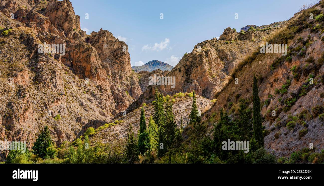 Tree filled mountain textures hi-res stock photography and images - Alamy