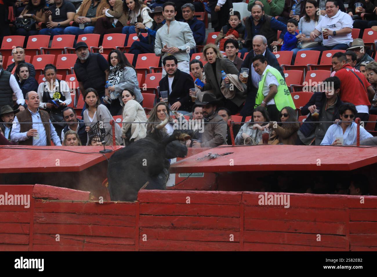 Mexico City, Mexico. 19th Jan, 2025. The fighting bull of the José ...