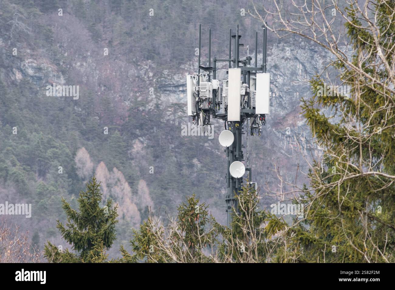 30-meter high 5G antenna installed in the forest in Illegio, Carnia ...