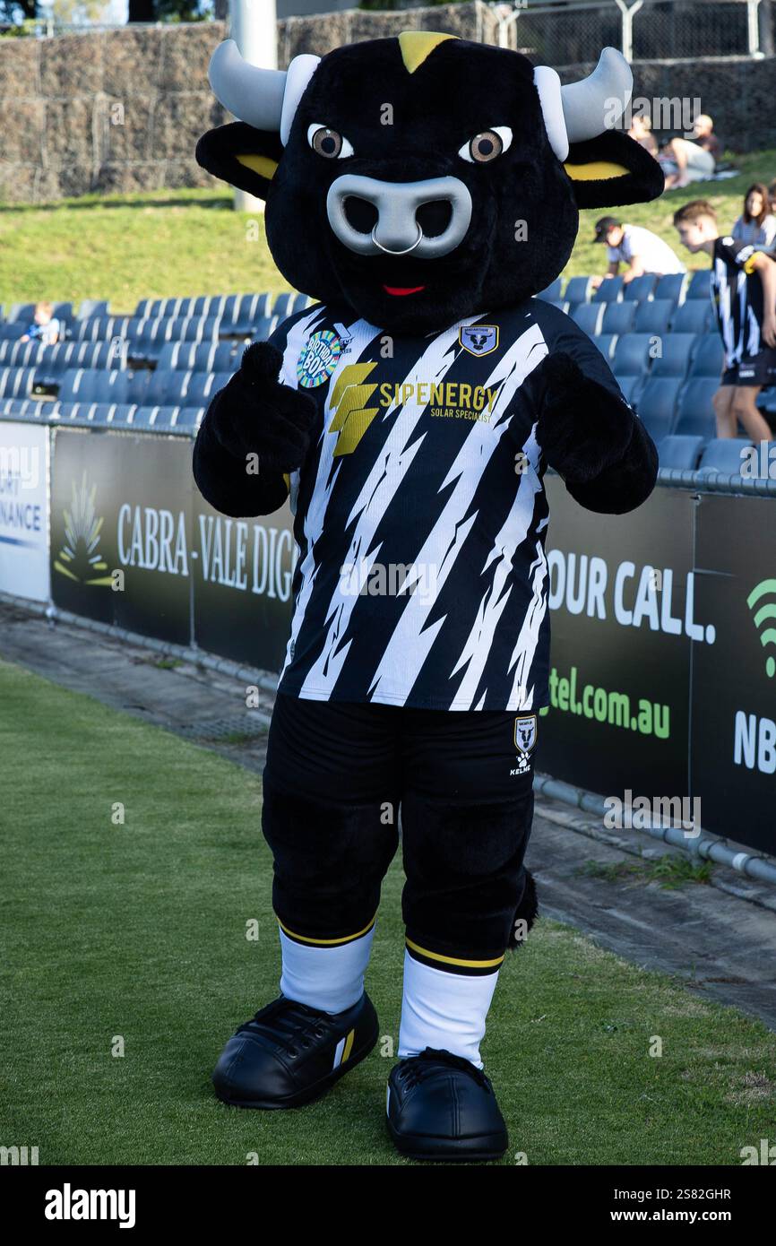 Sydney, NSW, Australia. 20th January 2025; Campbelltown Stadium, Sydney ...