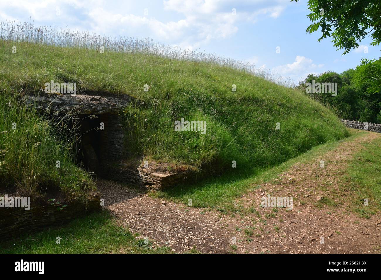 Bellas Knap Long Barrow, a Neolithic burial chamber situated on Cleeve ...