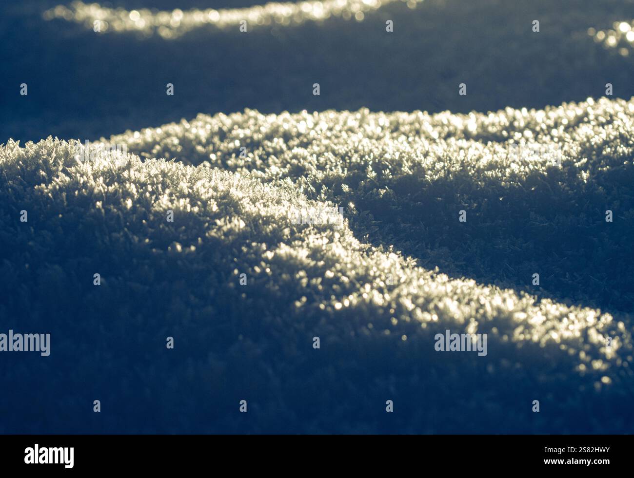 Wintry, Macro photography of tiny, delicate ice crystals locked in ...