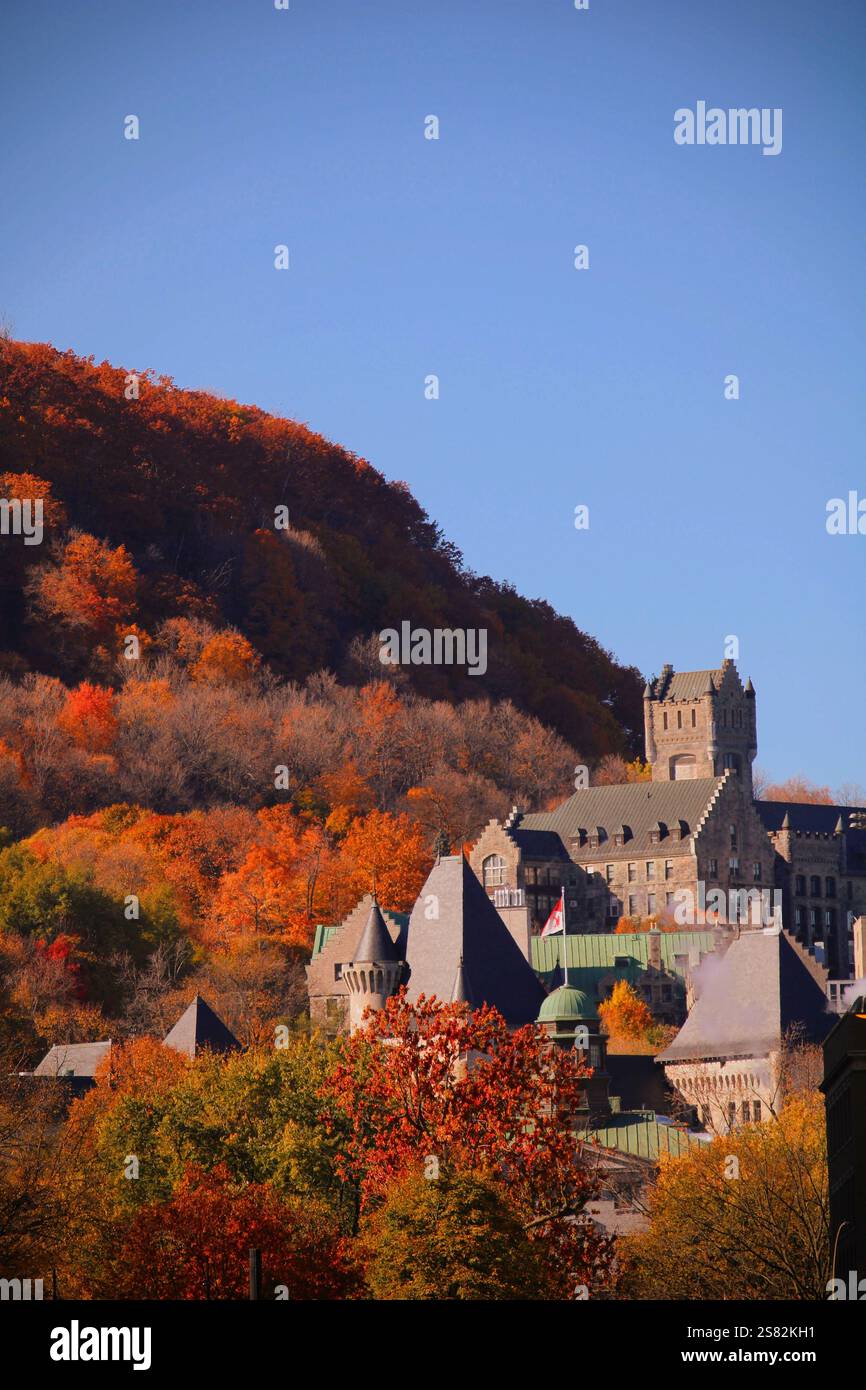 A stunning view of McGill University’s historic campus in Montreal ...
