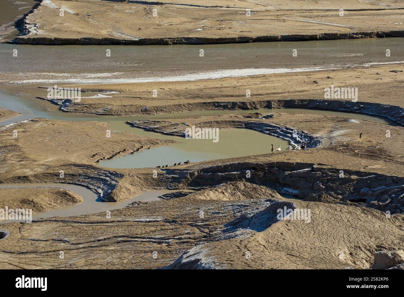 Ducks and geese around a small pond formed in Lago di Barcis - Barcis ...
