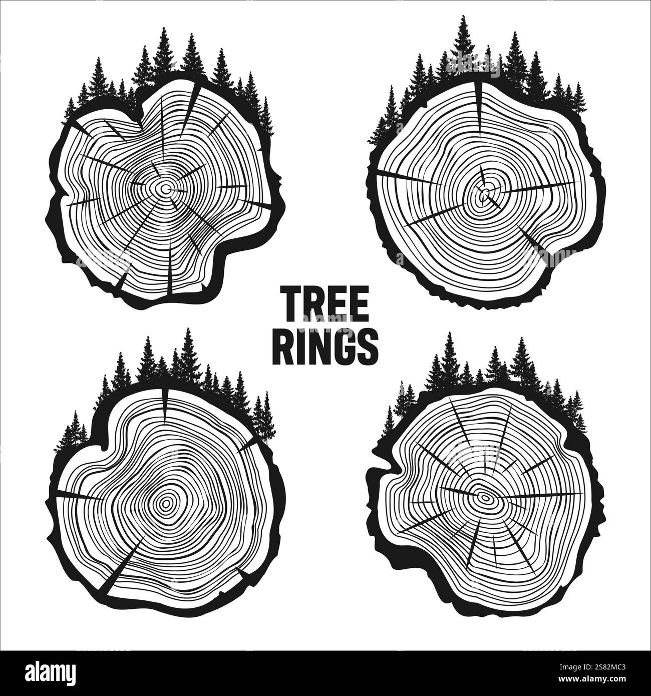 Round tree trunk cuts with trees and forest. Sawn pine or oak slices ...