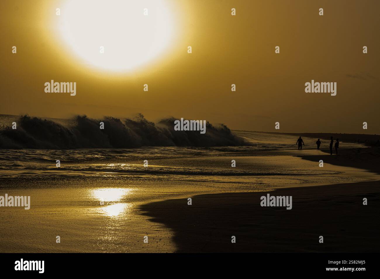 Crashing watching waves hi-res stock photography and images - Alamy