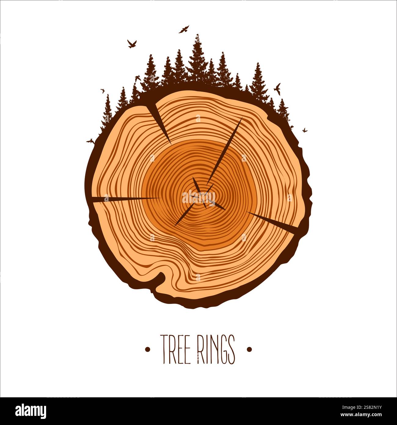Round tree trunk cut with trees, forest and birds. Sawn pine or oak ...