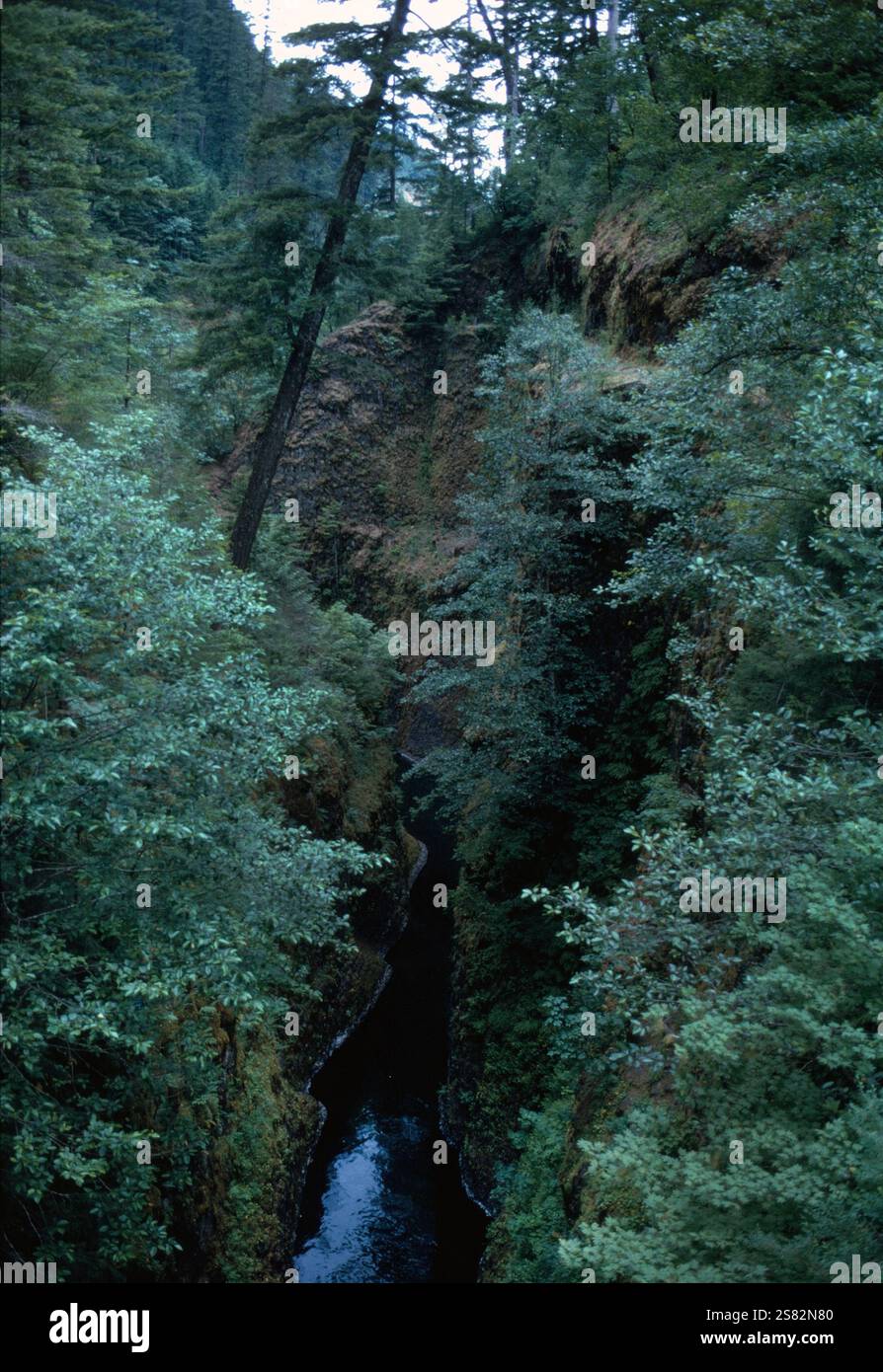 Forrest July 1962 Stock Photo - Alamy