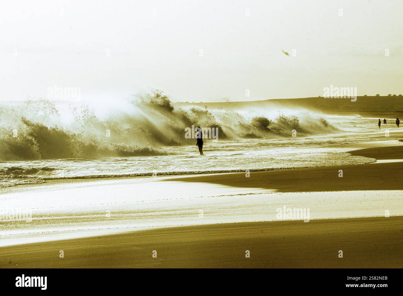 Man watching waves hi-res stock photography and images - Alamy