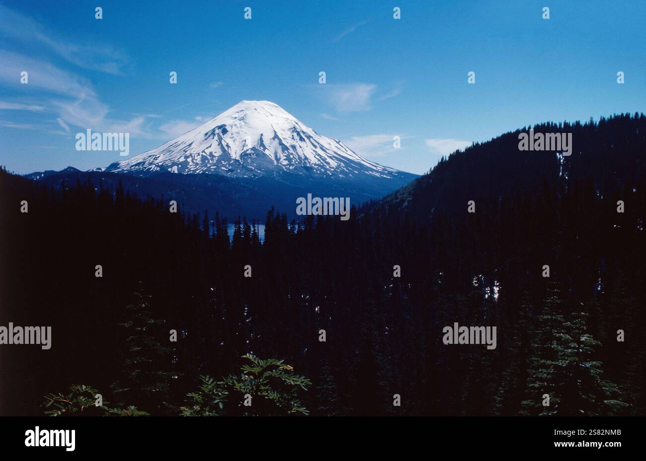 Film photo sunny snowy hi-res stock photography and images - Alamy