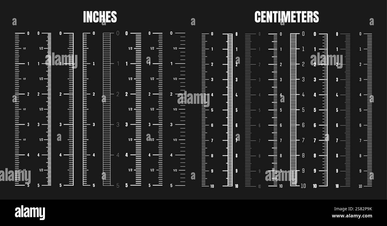 Vertical centimeter and inch scale for measuring length or height ...