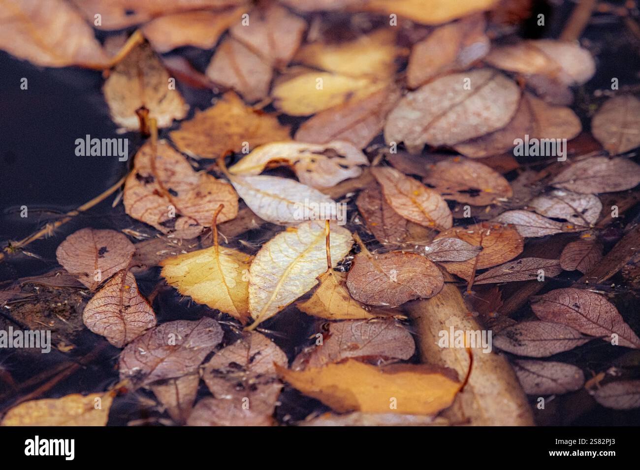 The forgotten fallen hi-res stock photography and images - Alamy