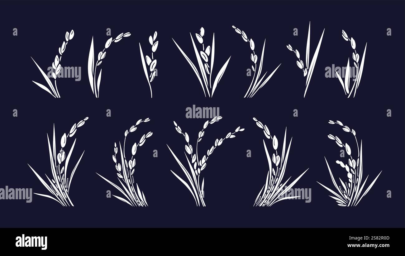 Rice plant, white grain. Vector silhouette set. Isolated logo for label ...