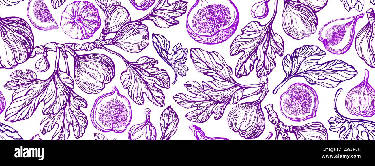 Common fig tree ficus carica Stock Vector Images - Alamy