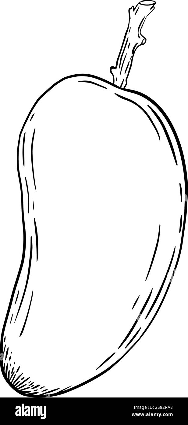 A stylized drawing of a ripe mango, capturing its unique shape, vibrant ...