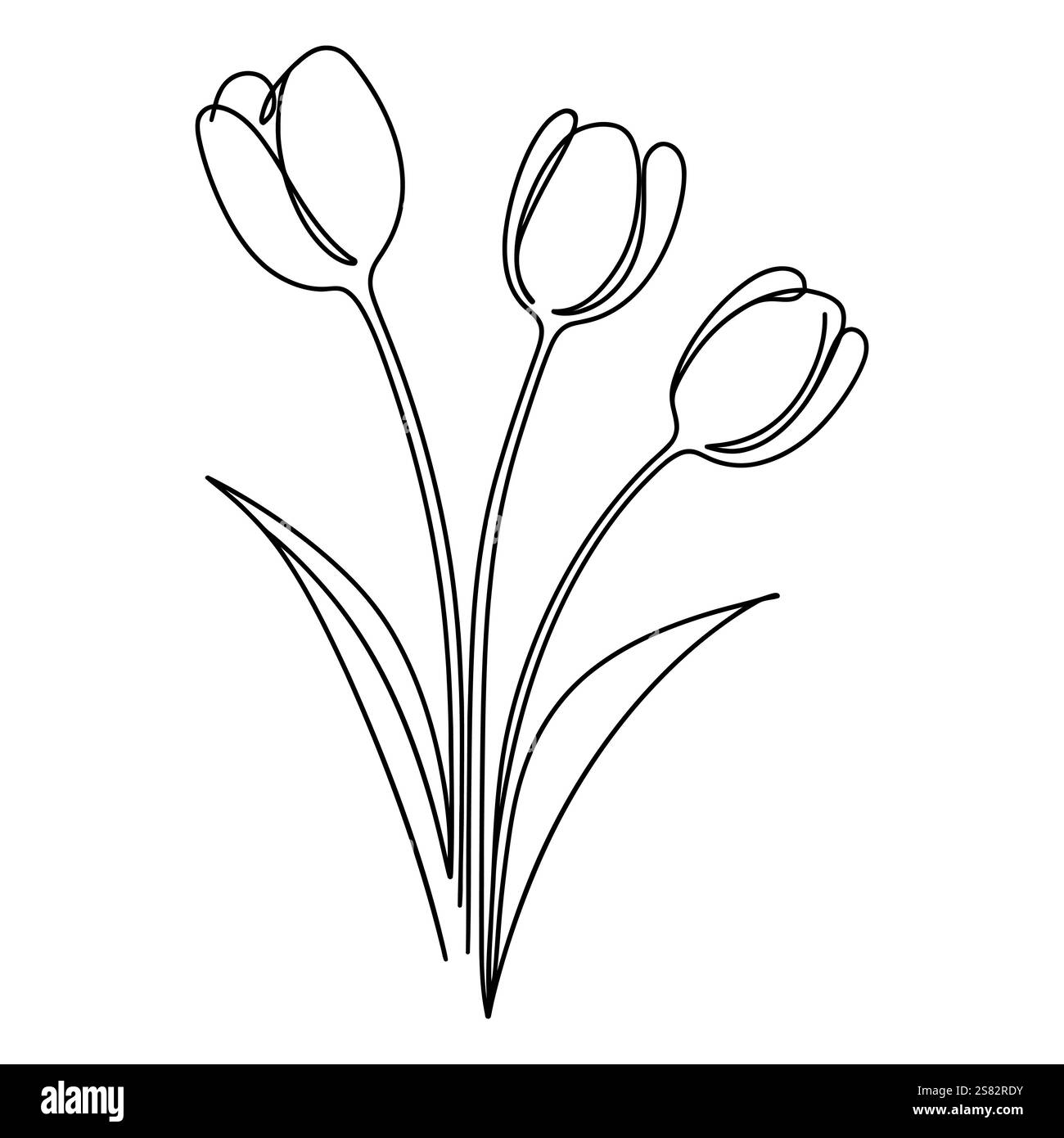 Tulips Line Drawing. Black and white Floral Bouquets. Floral Line Art. Fine Line Tulips ...