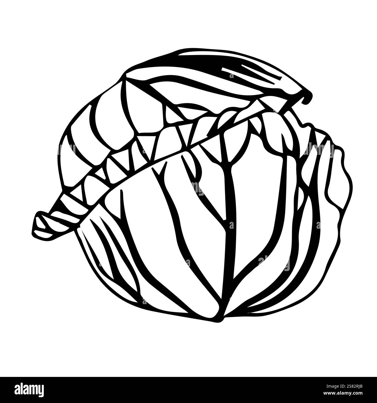 Salad vegetable growing in Stock Vector Images - Alamy