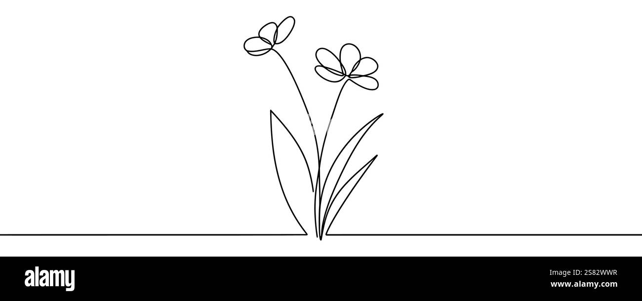 continuous single line drawing of wild flower Stock Vector Image & Art ...
