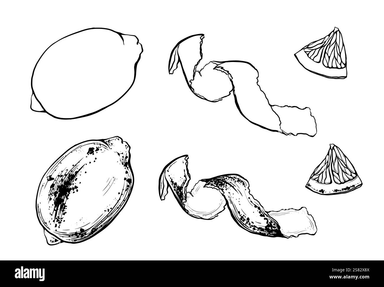 Set of slice and whole lemon, peel or zest of Lemon and isolated on ...