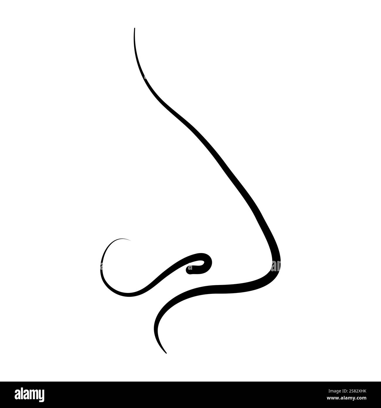 Black Line Art Nose Icon, nose face human, anatomy body Stock Vector ...