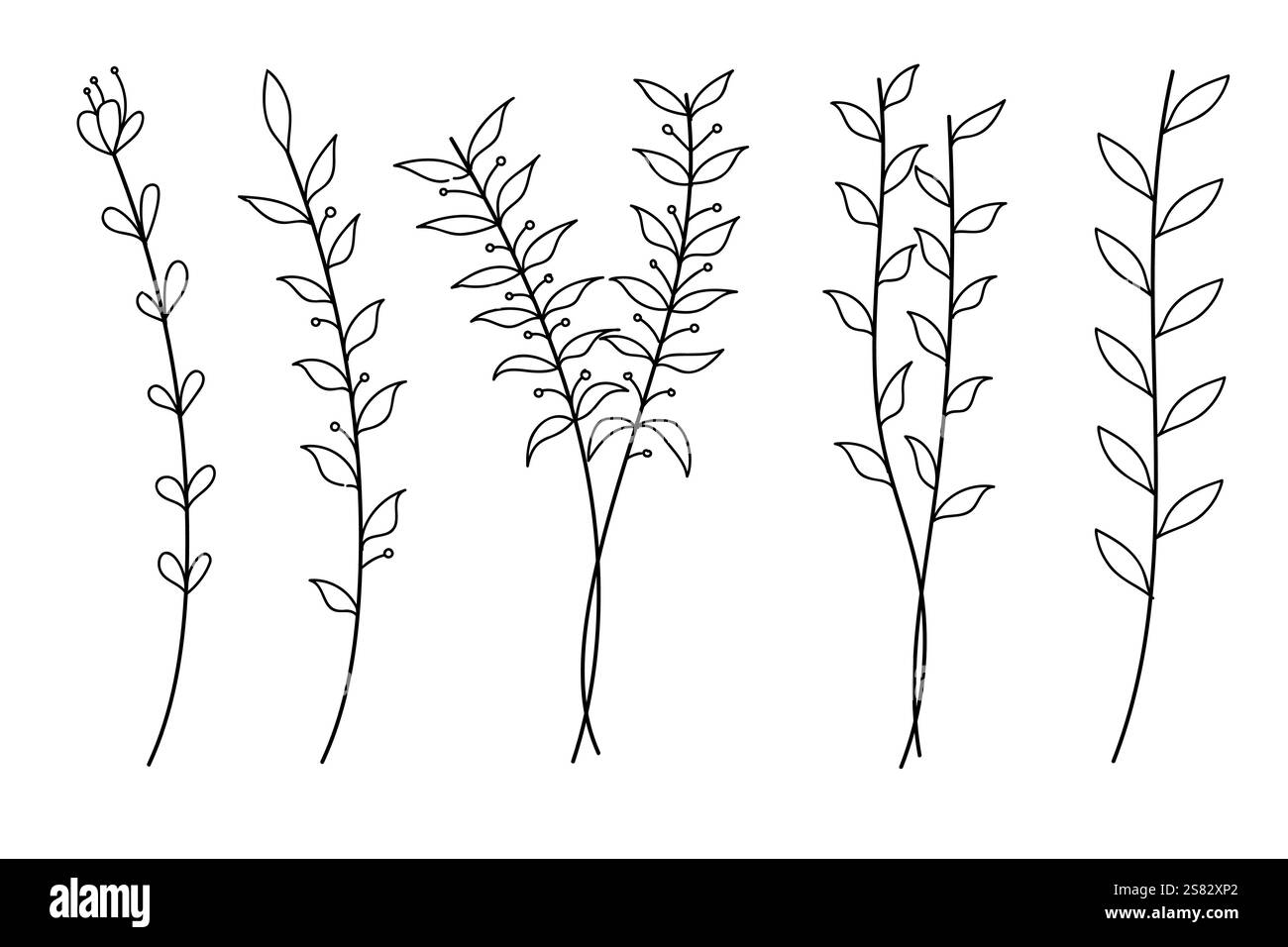 on White Collection of hand-drawn plant line art illustrations ...