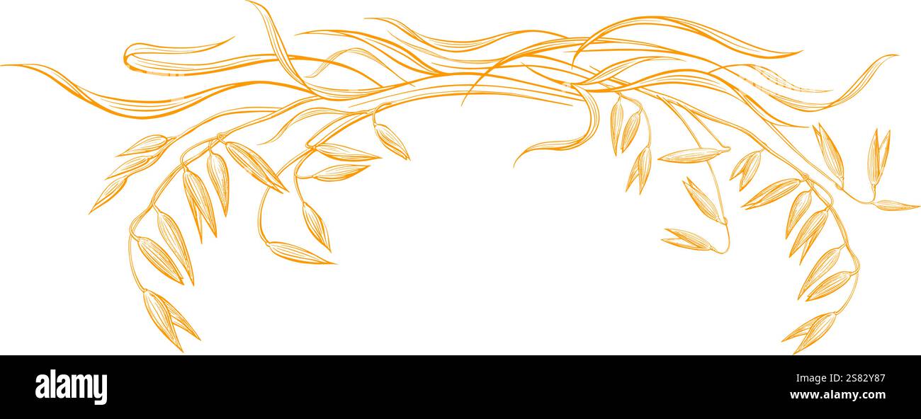 Oats plant, grain. Vector texture symbol. Wheat, golden spelt ...