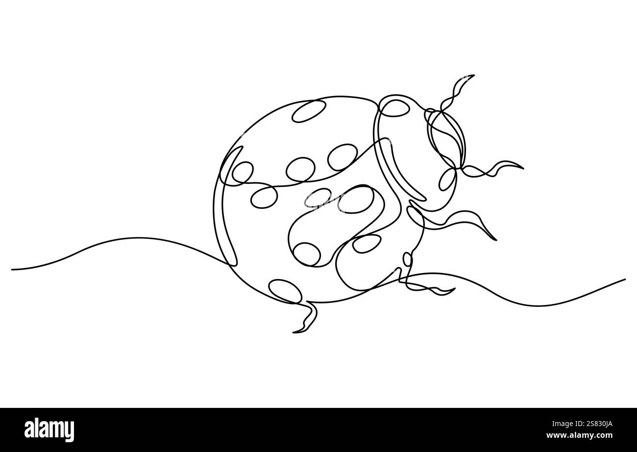 Ladybug Vector Illustration Continuous Line Drawing Single Continuous Line Drawing Of Adorable