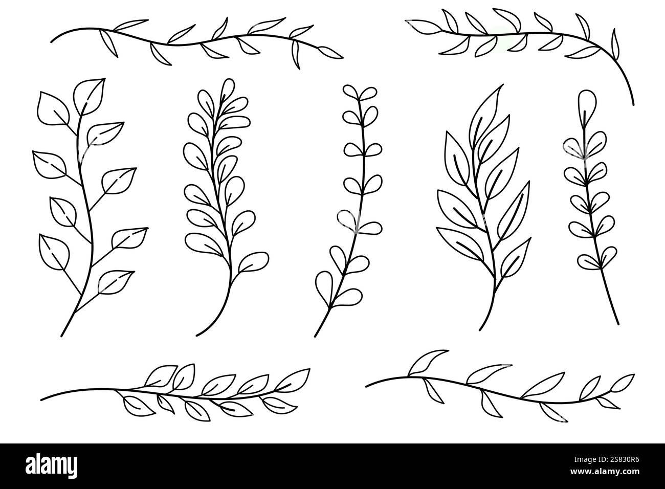 Collection of hand-drawn botanical line art featuring various plant ...