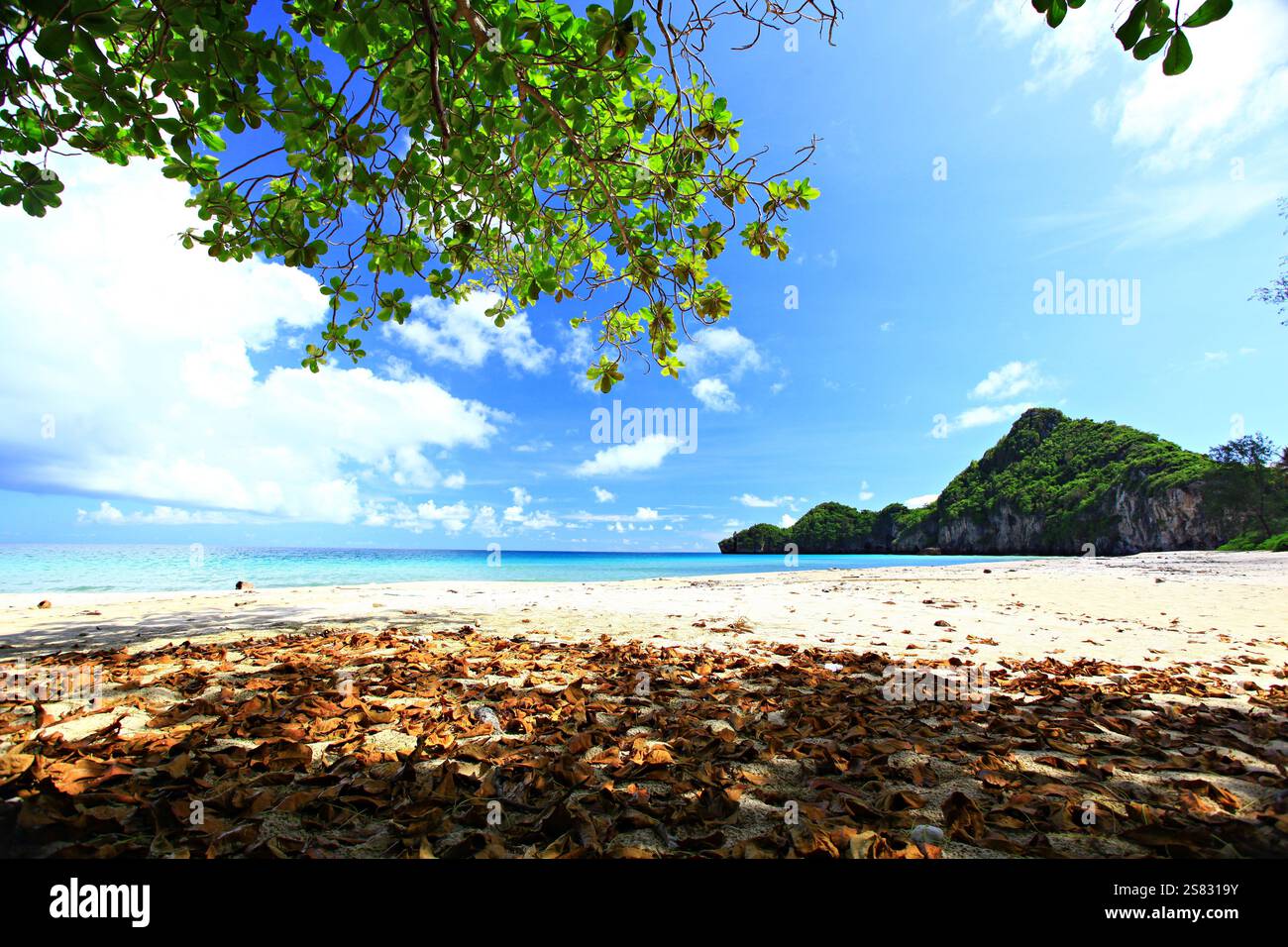The beauty of the sea, clear water, sandy beach, Thung Sang Bay, Pathio ...