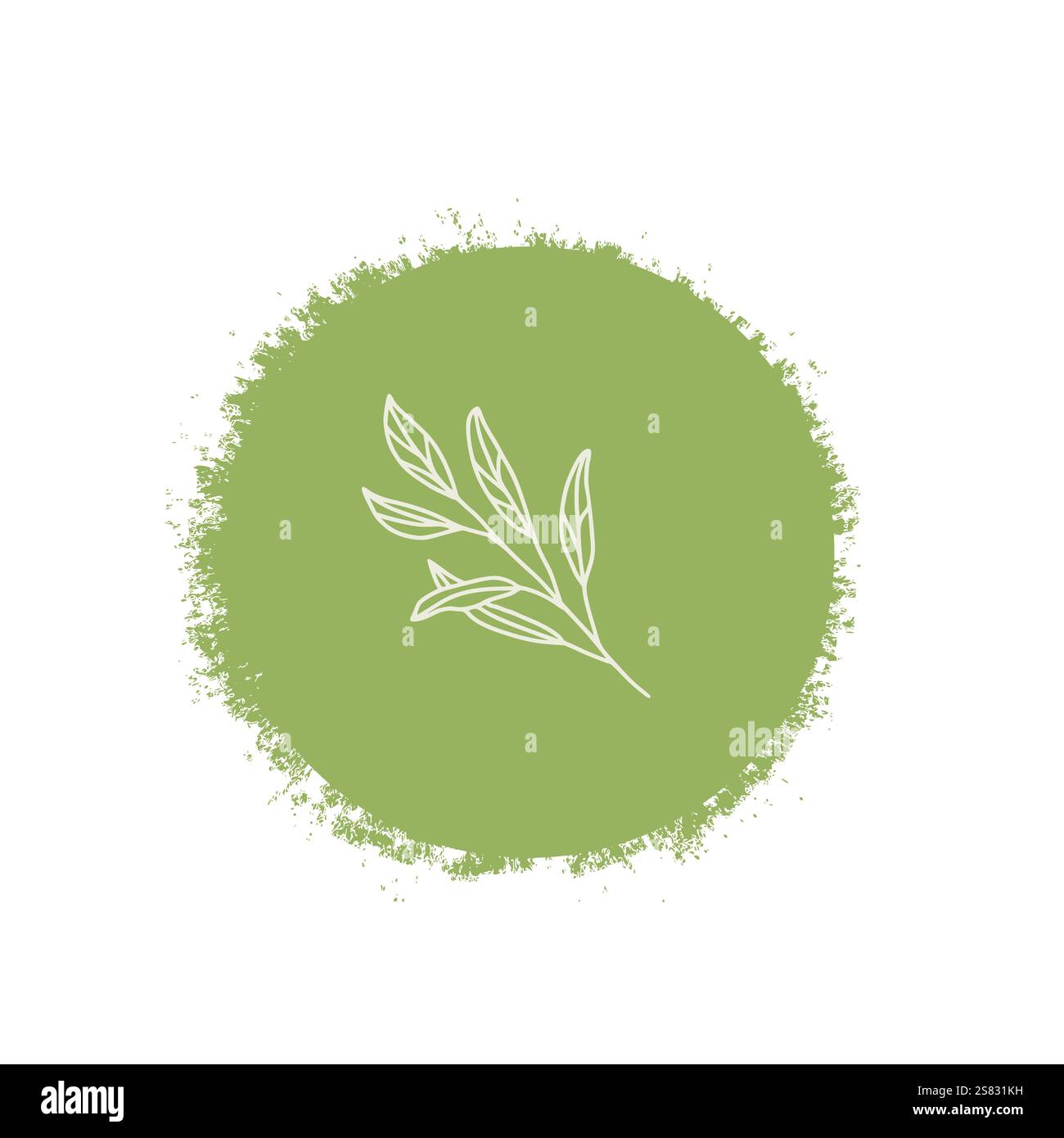 Sage culinary herb label. Hand drawn badge. Vector hand drawn doodle ...