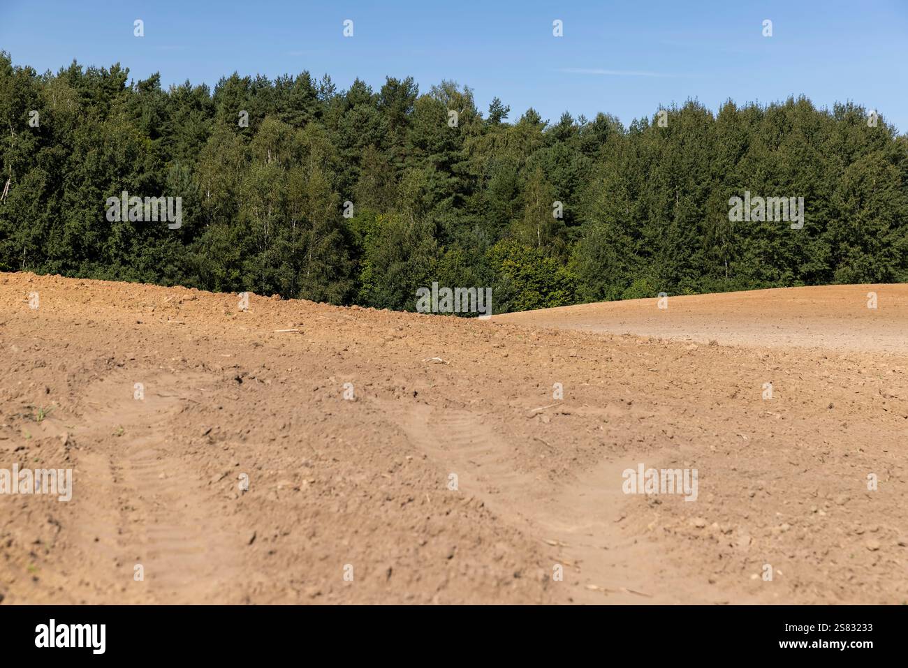 a field during the preparation for sowing, the forest in spring next to ...