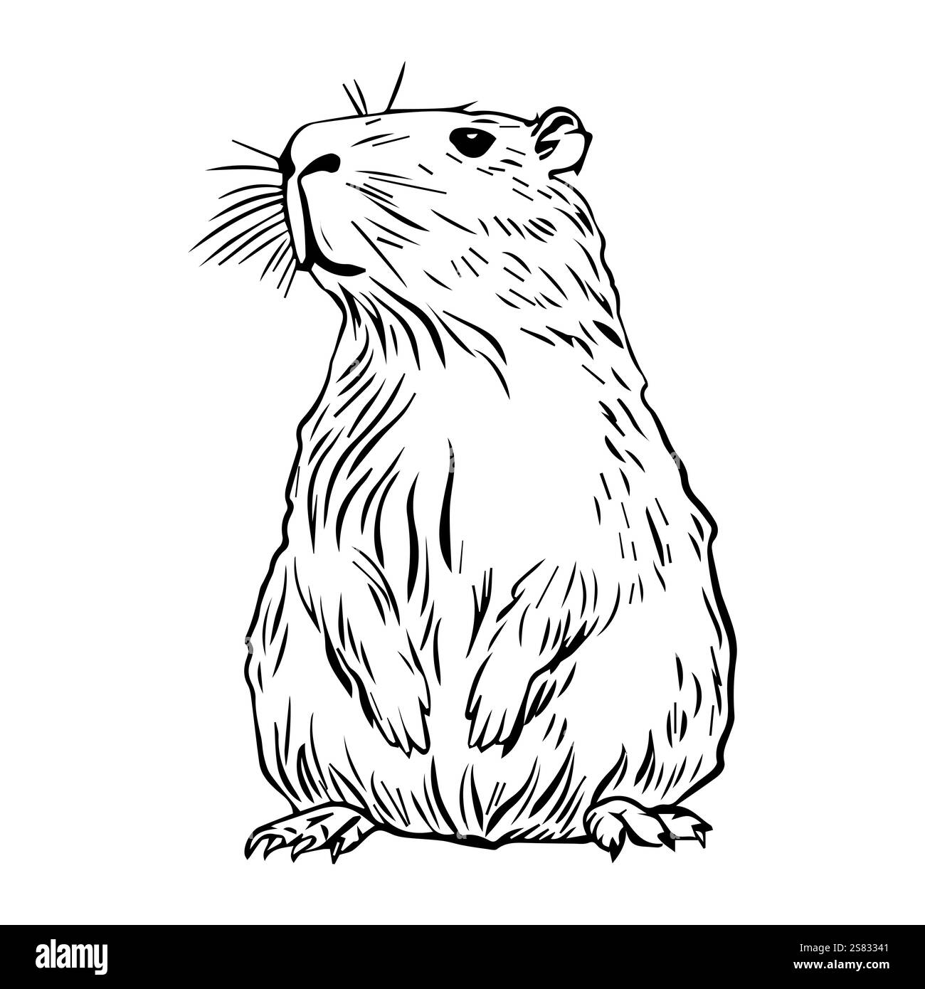 Funny capybara in flat design. South American adorable animals in ...