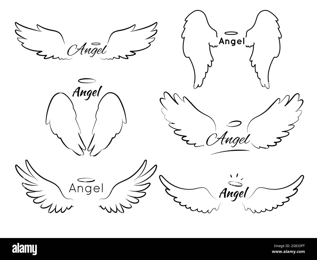 Angel wings with text. Sketch lettering, elegant calligraphic phrases ...