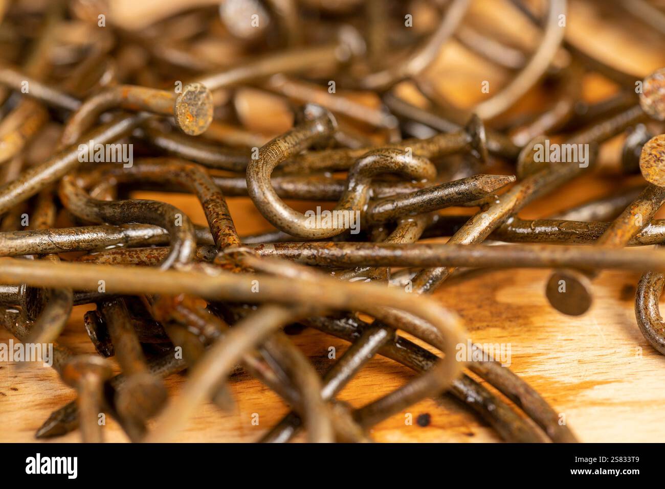 steel nails covered with orange rust, damaged metal nails covered with ...