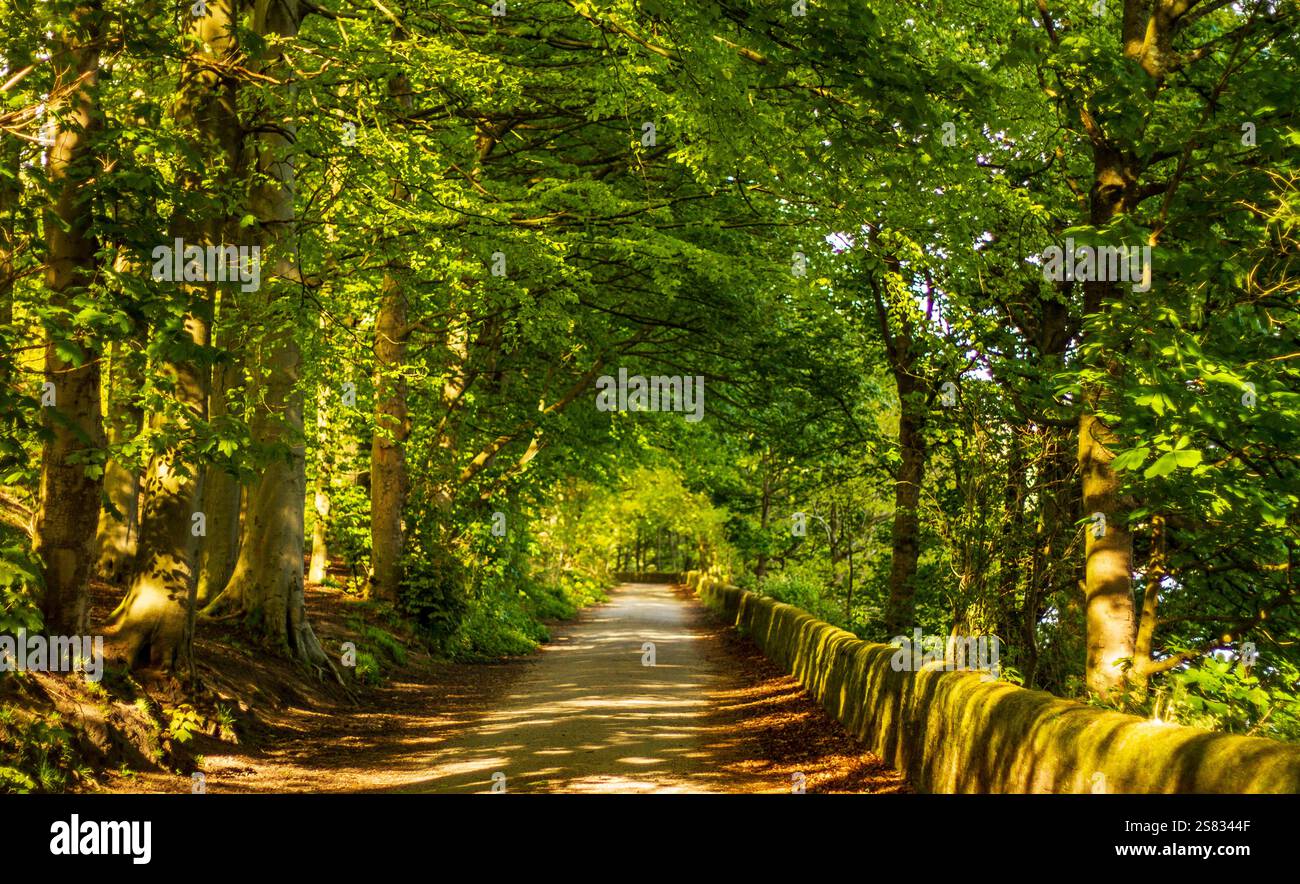 Where to go Stock Photo - Alamy